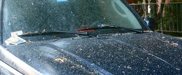 Common Causes of Damage to Your Car's Paint Job