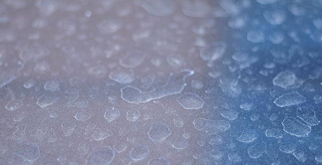 Common Causes of Damage to Your Car's Paint Job