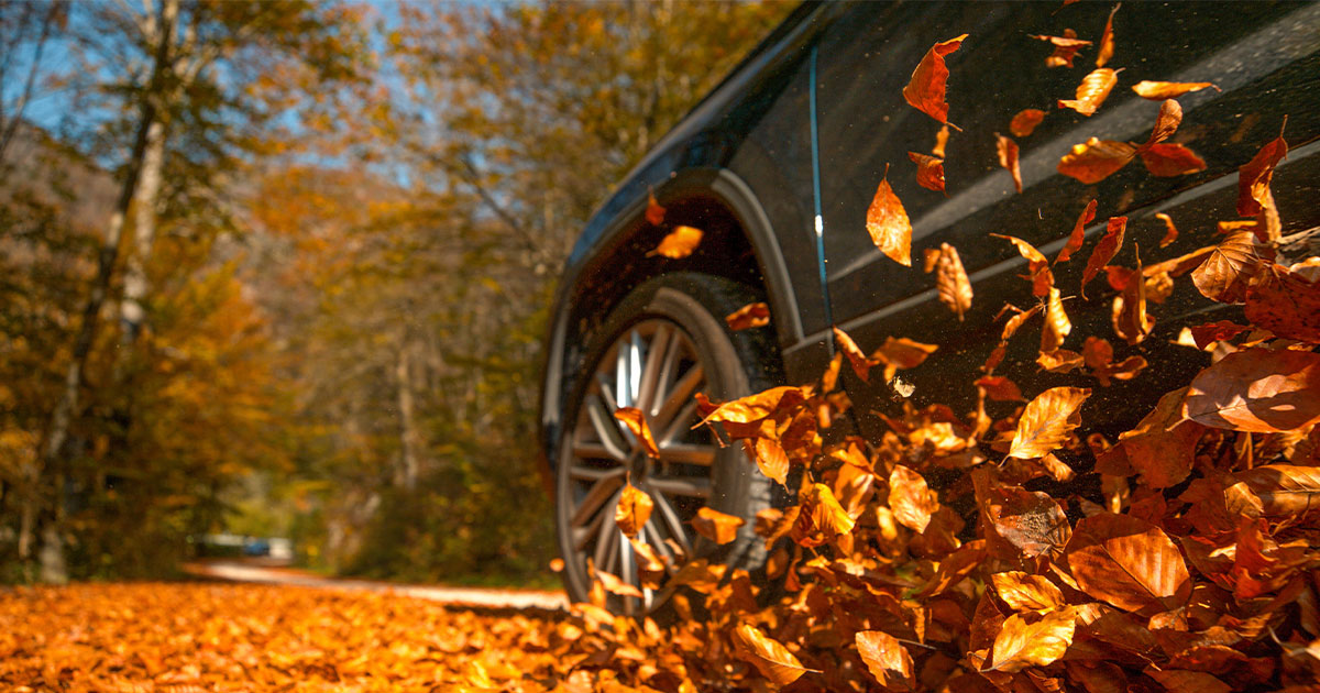 9 Complete Car Care Tips For Fall