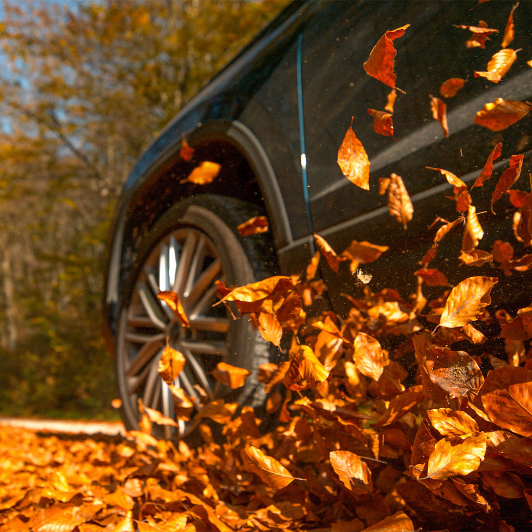 9 Complete Car Care Tips For Fall